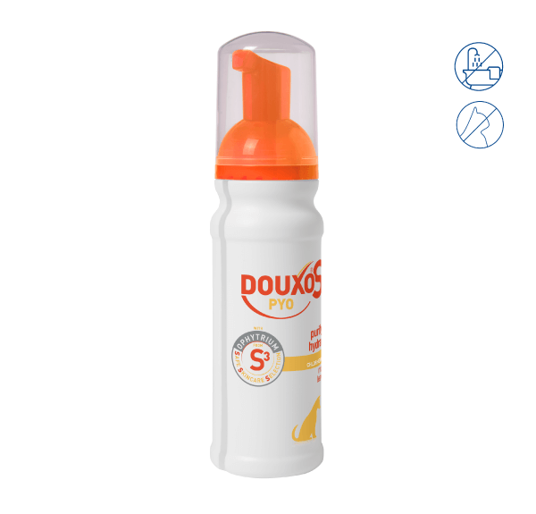 DOUXO S3 PYO Mousse - Antiseptic leave-on mousse for dogs