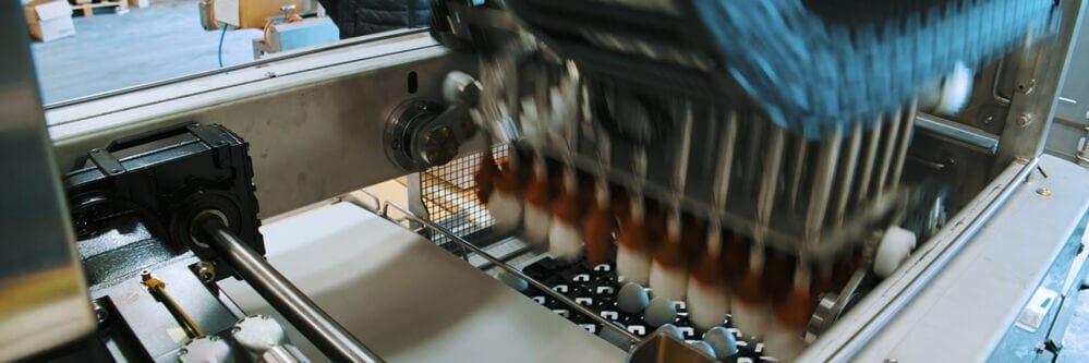 Discover high-speed solutions to maximise hatchery output