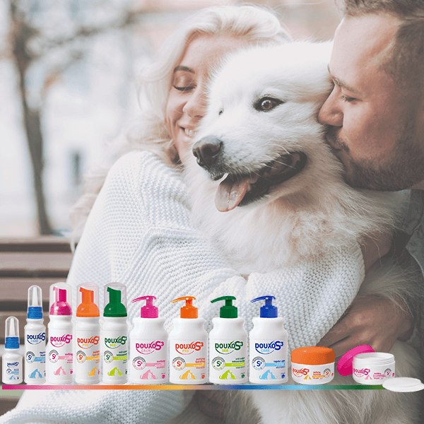 DOUXO S3 solutions - Skin care products for Dogs & Cats - Douxo S3 UK