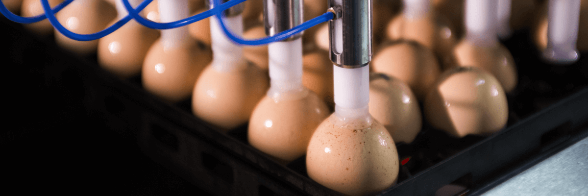 Egginject® / Ecat-iD