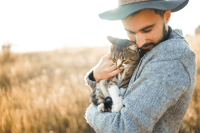 Cat’s fur feel greasy - Oily cat fur - Your Cat's Skin - Douxo S3 UK