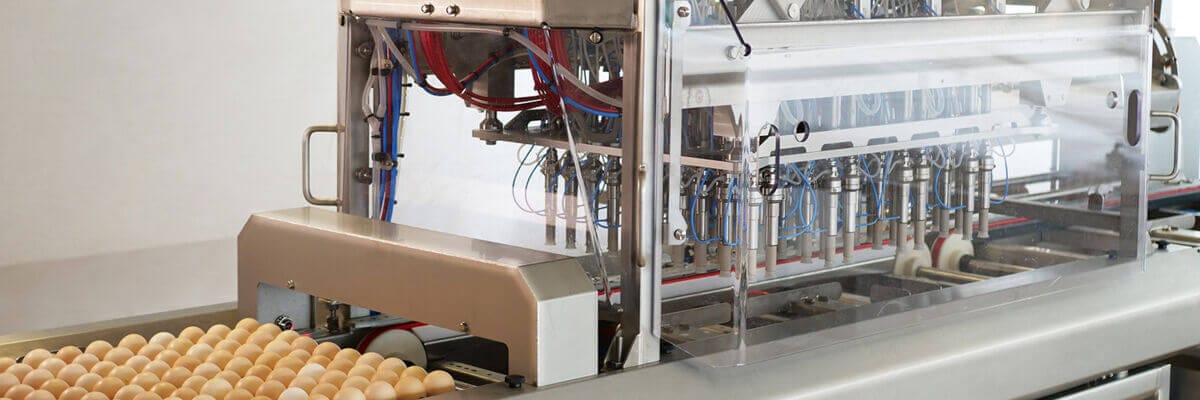 In ovo vaccination: a safe and convenient method to vaccinate in the ...