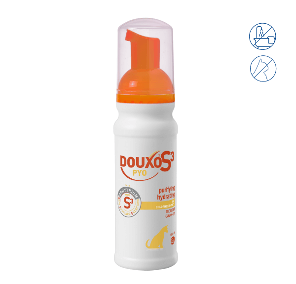 DOUXO S3 PYO Mousse - Antiseptic leave-on mousse for dogs