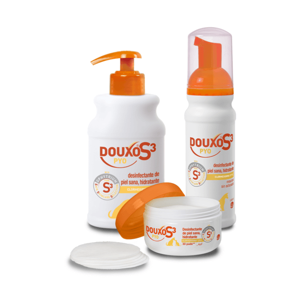 Bacterial Skin Infection in Dogs: Pyodermas - Your Dog's Skin - Douxo S3 UK