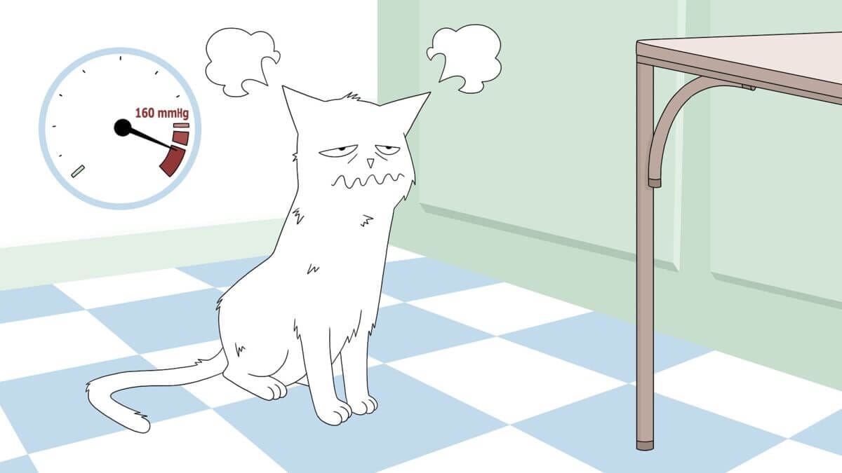 Hyperthyreose bei Katzen | Amodeus DE