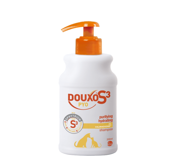 DOUXO S3 PYO Mousse - Antiseptic leave-on mousse for dogs