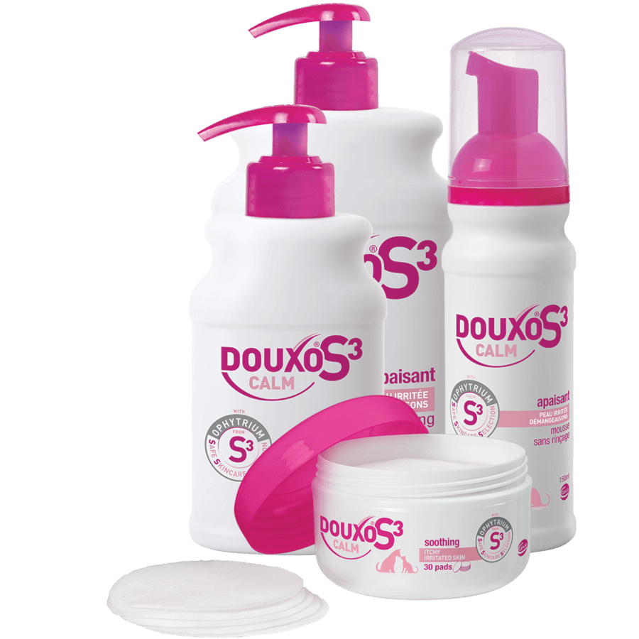 DOUXO Dog & Cat Skin Hygiene