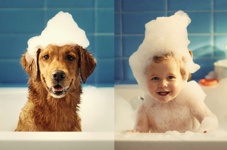 DOUXO Hygiène de la peau du chien et du chat